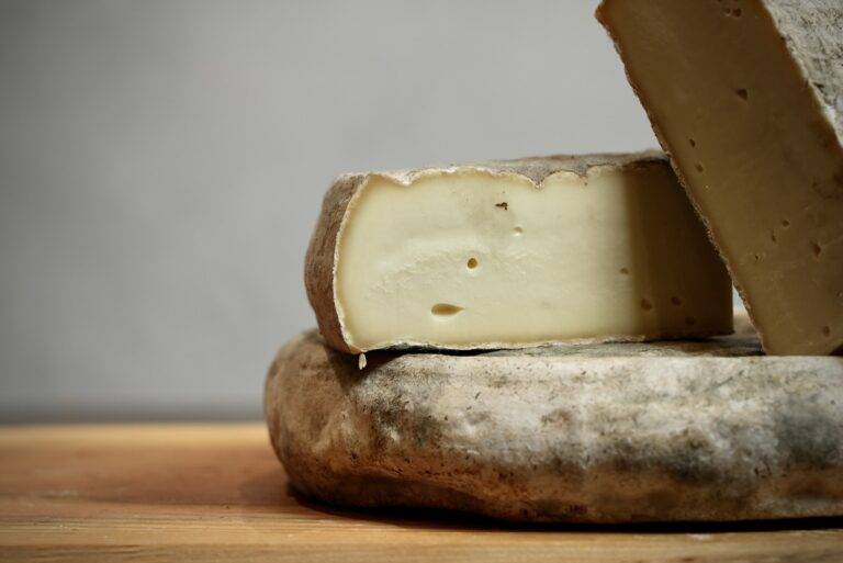 Saint-Nectaire AOP Fermier | La Fromagerie du Noyer